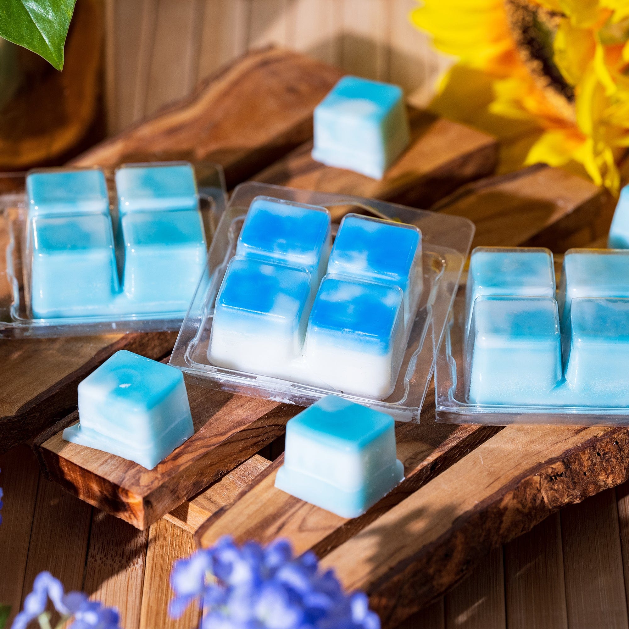 Clamshell - 4 Cavity Square for Making Wax Melts – Candle Shack